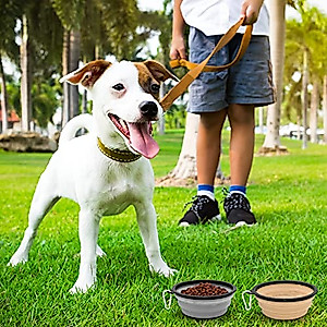 COLLAPSIBLE Dog Cat Bowls 2 Pack Travel Dog Bowls Portable Pet Water Bowl Dog Cat Food Feeder Walking Hiking Camping Bowl for Small Medium Large Dogs (Small, Cool Gray & Light Brown)