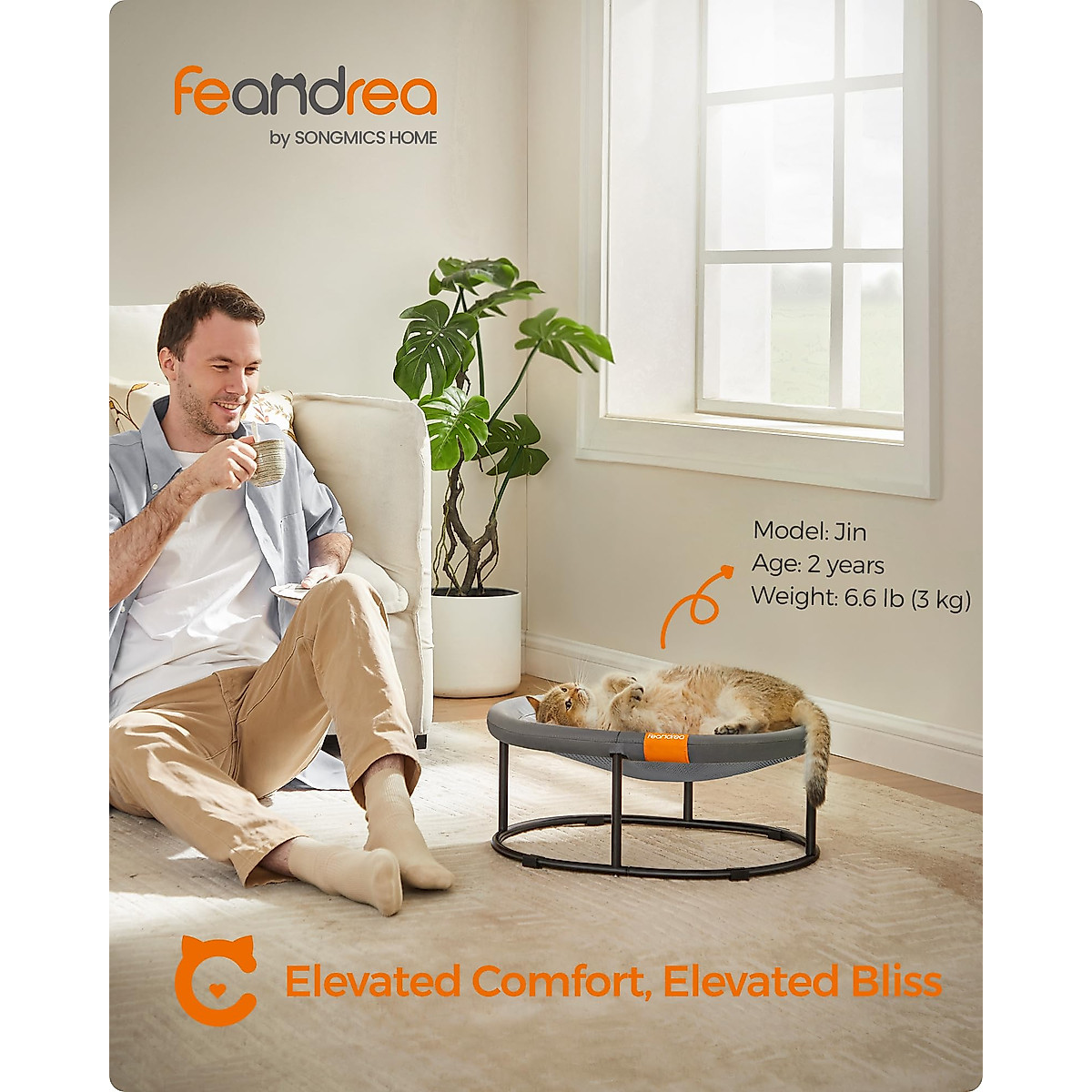 Feandrea Pet Bed, Cat Hammock, Elevated Cat Bed for Multiple Cats, with Removable Washable Mesh, for Pets up to 20 lb, Oval, Gray UPCB001G01