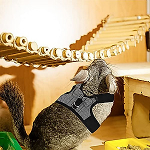 Scicalife Lovely Bunny Vest Harness and Leash Set Practical Pet Supplies for Ferret RatsLeash