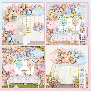 DoreenBow Baby Boxes Gender Reveal Balloon Decorations Kit Pink and Blue Balloons Arch Kit 4Pcs Baby Box with Letters(BABY) for Baby Shower Birthday Decor Gender Reveal Party Decor Supplies