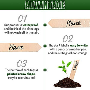 Whaline 100Pcs Wooden Plant Labels Pointed Wooden Garden Markers Waterproof Eco-Friendly Plant Sign Tags Decorative Garden Tags for Seed Potted Herbs Flowers Vegetables with 2 Marker Pen (15 x 2 cm)