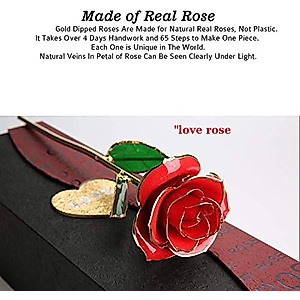 MNIEYU Gold Rose 24K Plated Gold Dipped Rose, Forever Preserved Red Rose Flowers with Stand,Romantic Gift for Valentine's Day and Anniversary, Best Gifts for Her, Wife,Girlfriend, Mothers Day,Birthday