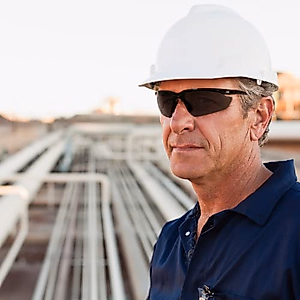 JORESTECH Safety Eyewear, ANSI Z87+ Impact Resistant Polycarbonated Eye Protection Safety Glasses, Black Frame with Smoke Lenses, pack of 12