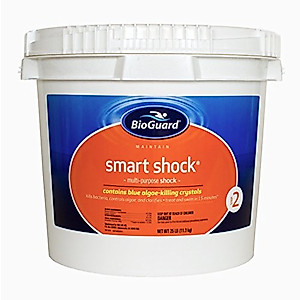 BioGuard 52728BIO Smart Shock