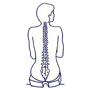 Tush Cush Home Office Orthopedic Large Computer Ergonomic Seat Cushion Original - Charcoal Velour Fabric