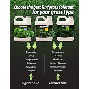 Endurant Green Grass Paint for Lawn and Fairway Treats Dry or Patchy Lawn – Pet Friendly Eco-Friendly Spray Paint and Turf Grass Dye