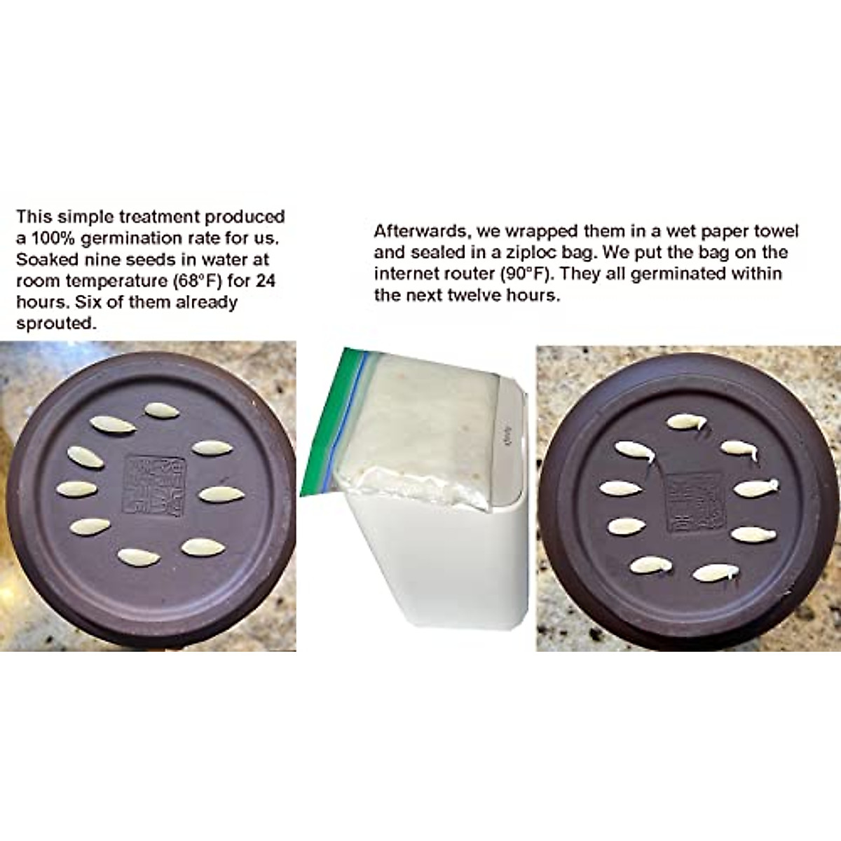 For 2024!Cucumber Seeds for Planting Vegetables and Fruits-Asian Suyo Long Cucumber Plant Seeds,Burpless Non GMO Garden Seeds Vegetable Seeds,Chinese Cucumber Seeds-11ct Veggie Seeds China Long Hybrid