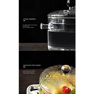 Glass Cooking Saucepan, Glass Saucepan with Cover, Glass Stovetop Pot, for Pasta Noodle, Soup, Milk, Baby Food (Diameter 14 binaural)