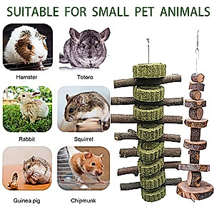 Fansisco Rabbit Chew Toys, Natural Apple Wood and Drying Grass Cake and Activity Balls for Rabbits, Chinchillas, Guinea Pigs, Hamsters Chewing Playing Improve Dental Health (style1)