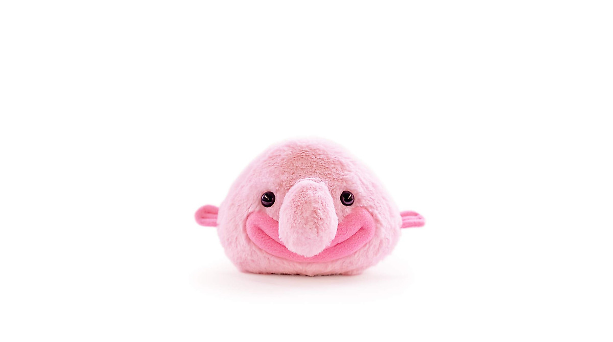 Hashtag Collectibles Smiling Blobfish Plush - Limited Edition