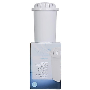F004 REPLACEMENT FILTER - for Life Ionizer Glass Pitcher of Life - Alkaline Water Filter Cartridge - Pack of 1