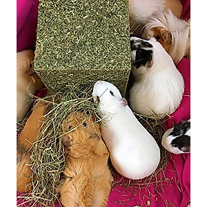 Rosewood Naturals I Love Hay Cube (M) (May Vary)