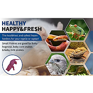 MiceDirect Frozen Small Pinkie Feeder Mice Food for Corn Snakes Ball Pythons Lizards (75 Count)