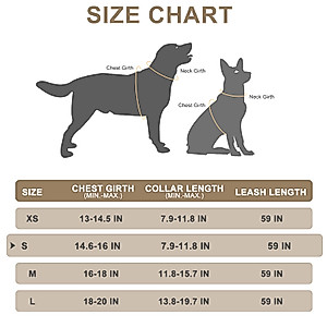 EXPAWLORER Classic Plaid Puppy Harness - Small Dog Harness and Leash Set - Dog Collar and Leash Set with AirTag Holder, Soft Padded Step in Dog Vest Harness No Pull Reflective for Outdoor, Pink S