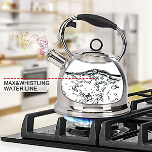 Tea Kettle for Stovetop, Food Grade Stainless Steel Water Kettle, Tea Pot for Home & Kitchen, 3.0 Qt