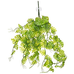 Penn-Plax Reptology Decorative Hanging Terrarium Plant Vines for Reptiles and Amphibians – 24” Length – Green