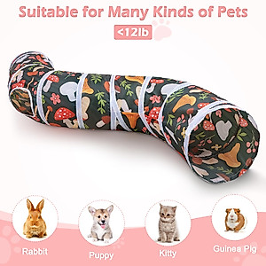 Glittme Cat Tunnel, Cat Tunnels for Indoor Cats, S-Shape Peekaboo Cat Cave with Cat Toys, Foldable Cat Tubes and Tunnels for Cats, Rabbit, Puppy, Guinea Pig