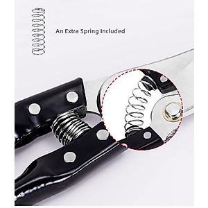 8" Garden Premium Bypass Pruning - Shears Ultra Sharp Pruners with Grade Stainless Steel Professional Perfectly Cutting Through Anything Plant in Yard and Bonsai