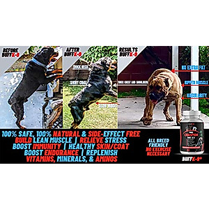 True Champion Dog 2.0 Most Complete Dog Muscle and Health Supplement, Vet & Nutritionist Developed, Safe and 100% All Natural (for Puppies & Adults), Calming, Lean Weight Gain, Dog Health