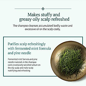 Ryo Scalp Deep Cleansing & Cooling Conditioner 500ml (16.9oz) Excess sebum care, For smelly scalp, Fermented mint and other natural ingredients, Anti- Dandruff treatment