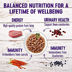 Wellness Healthy Indulgence Gravies Grain-Free Wet Cat Food, Made with Natural Ingredients and Quality Proteins, Complete and Balanced Meal, 3 oz Pouches (Tuna & Mackeral in Gravy, 24 Pack)