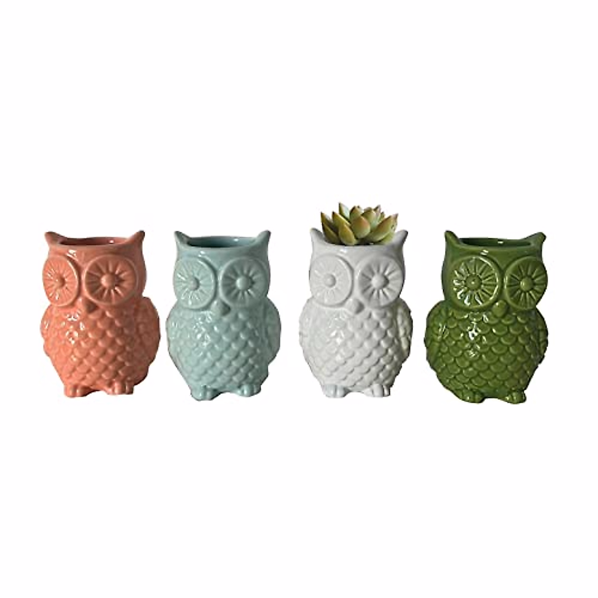 First of a Kind Owl Shaped Vases (Set of 4) - Ceramic Owl Succulent ...