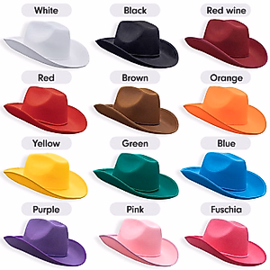 COLLECT PRESENT Western Felt Cowboy Hat for Men, Women, and Teens | Studded Costume Hat (Black)