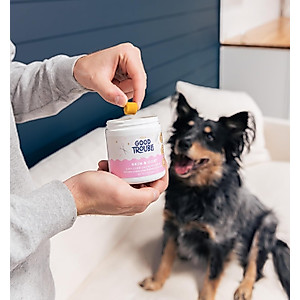 Good Trouble Pets Skin & Coat Supplement for Dogs - Bacon & Chicken Flavor, Promotes Healthy Coat & Skin, 30 Chews for Optimal Results (Packs of 2)