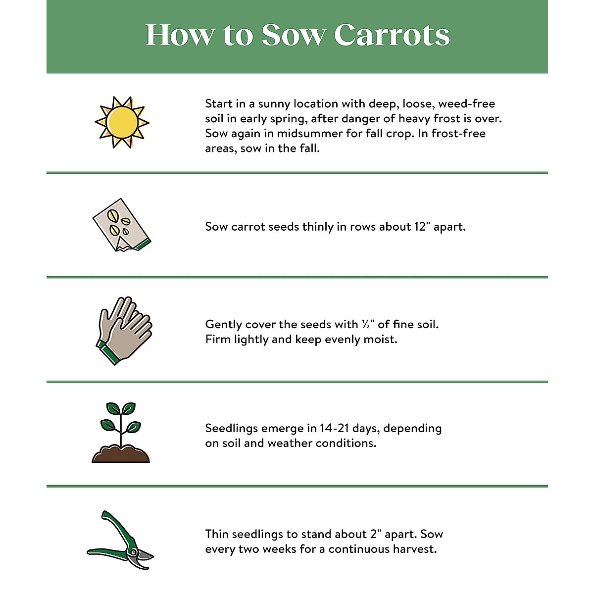 Burpee Kaleidoscope Blend Carrot Seeds | 1500 Non-GMO Seeds | Rainbow Carrot Seeds for Planting | Vegetable Seeds for Planting Home Garden | Five Colors: Red, Orange, Purple, White, and Yellow