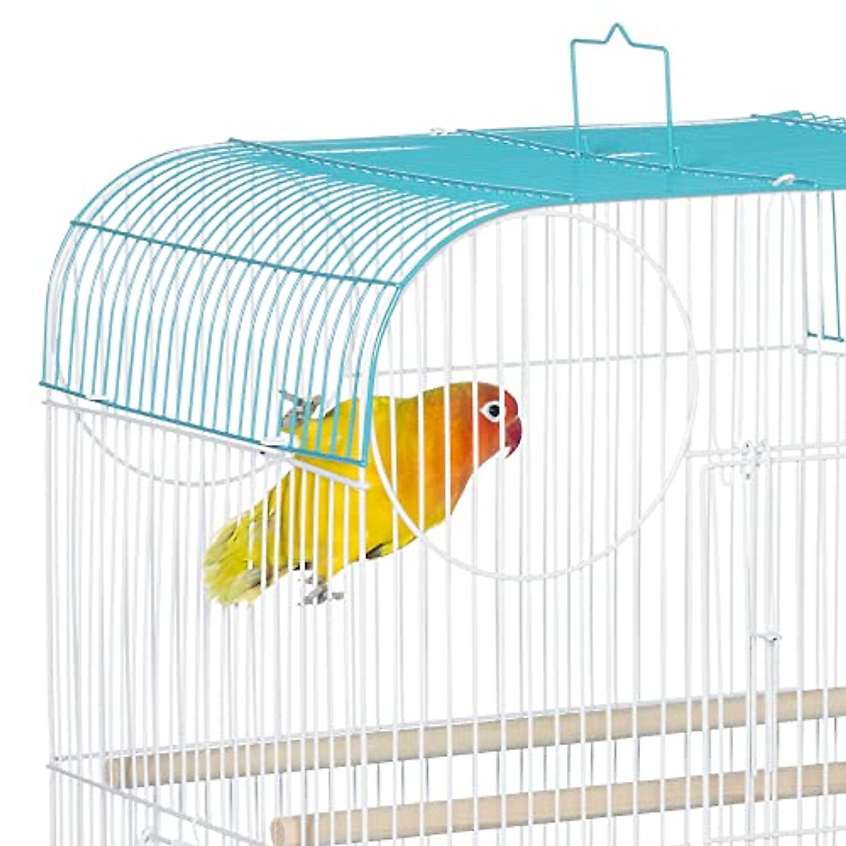 Prevue Pet Products South Beach Flat Top Bird Cage, Teal (SP50061)