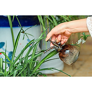 Glass Plant Mister Spray Bottle, 6.3inch Tall Vintage Plant Spritzer Watering Can, Succulent Watering Bottle with Top Pump, Plant Mister Glass Watering Garden Tool (Brown Clear Gradient)