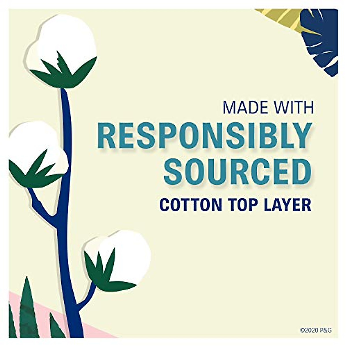 Always Pure Ultra Thin Regular Pads with Wings, 72 Count, Unscented (3 Packs of 24 - 72 Count Total)