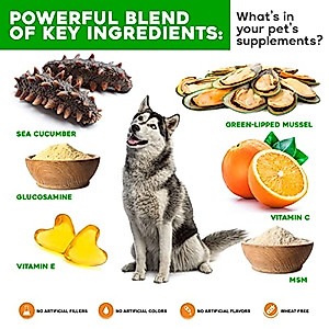 Joint Supplement for Dogs - Green Lipped Mussel, MSM + Glucosamine Formula - Helps to Restore Mobility, Relieve Arthritis & Hip Dysplasia Pain, Reduce Inflammation, No Artificial Flavors (Pack of 1)