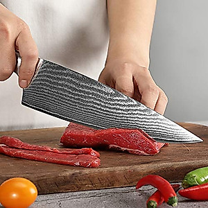 Damascus Kitchen Knife, 8 Inch Chef Knife Professional Kitchen Knife Forged with VG10 Super Steel 67-Layer Damascus, Non-slip ABS Ergonomic Triple Rivet Handle, Razor Sharp Lightweight Multipurpose