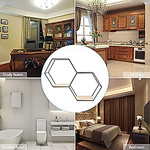 UKCOCO Home Décor Wall Mounted Hexagonal Floating Shelves, Black Metal Wire Dual Hexagon Wall Shelves for Home, Kitchen, Office Botanical Decor