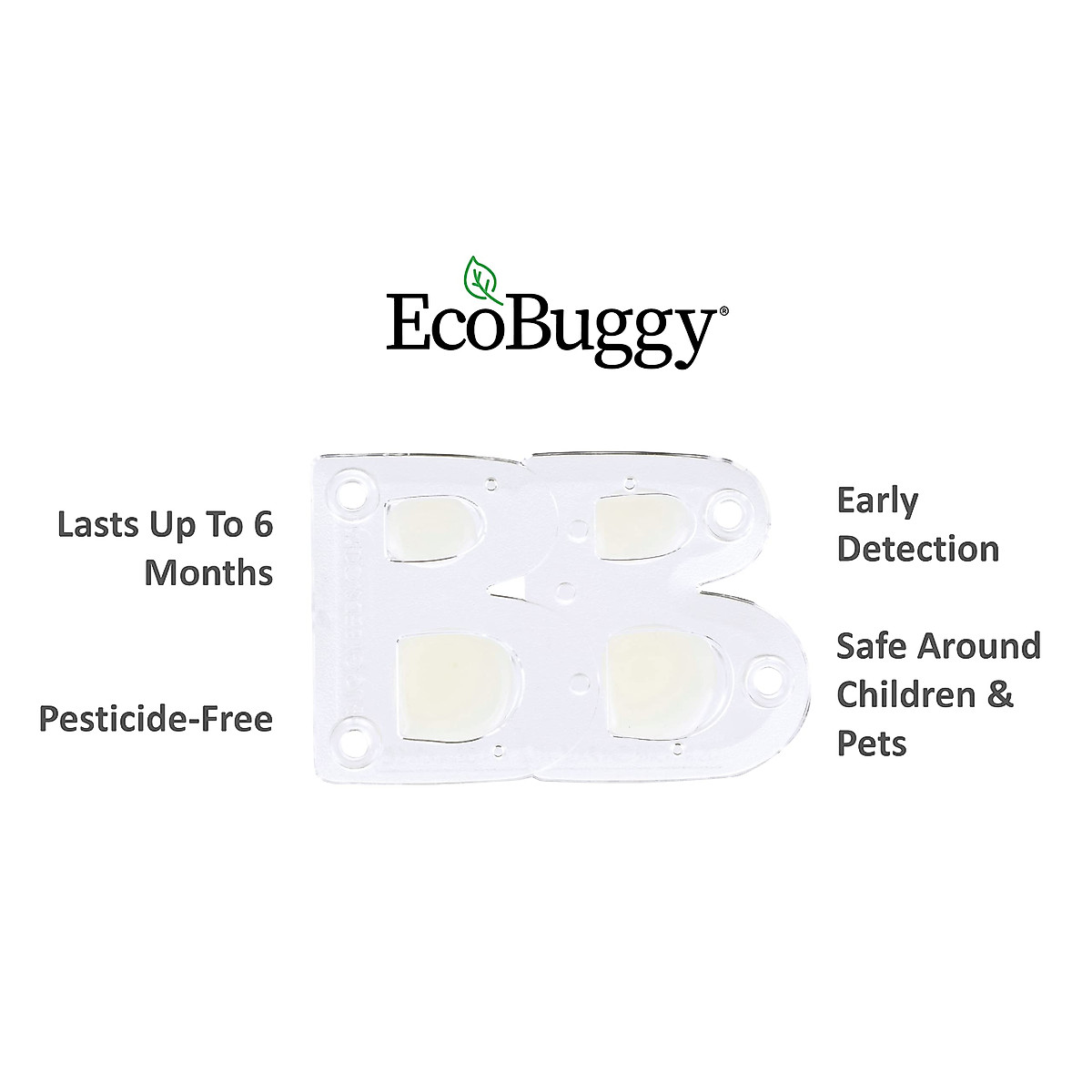 EcoBuggy Bed Bug Glue Trap, Glue Traps for Home & Travel Detect Bugs Before Infestation, Pack of 4