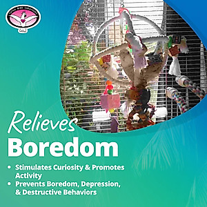 Super Bird Creations SB445 Fun Round Swinging Orbiter Bird Toy, Small To Medium Size, 14” x 10”, Varies