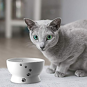 Y YHY Cat Bowl, 15 Ounce Cat Water Bowl, Raised Ceramic Cat Food Bowl, Elevated Cat Dog Dish No Spill, Pet Bowls for Cats or Small Dogs, Anti Vomiting, Measurable, White