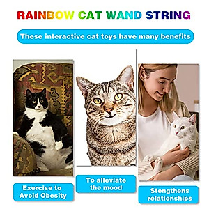 M JJYPET Cat Wand Toys, Interactive Kitten Toys for Indoor Cats,Colorful Cat Teaser Wand String for Cat Kitten Exercise-3PCS