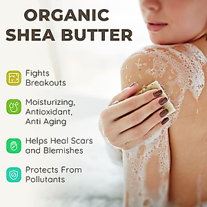 DR. HEMPSTER Hemp Soap Bar Variety 3 Pack - Activated Charcoal and Aloe Soap, Hemp and Mint Soap, Shea Butter and Citrus Soap - 5 oz Bars