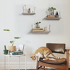 MITIME Floating Shelves Set of 3 Rustic Solid Wood Floating Shelf Wall Storage Shelves for Living Room, Bedroom, Bathroom, Kitchen Laundry, Office (Light Colour L+M+S)