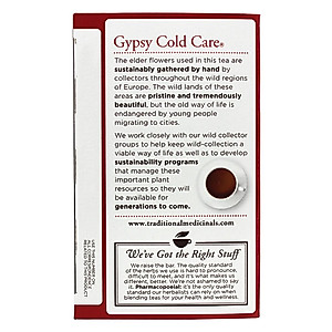 TRADITIONAL MEDICINALS TEAS Gypsy Cold Care Tea 16 Bag