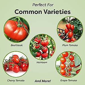 Perfect Plants Tomato Plant Fertilizer in 8oz. Bottle | Help Your Vegetable Garden Thrive | Rich in Essential nutrients