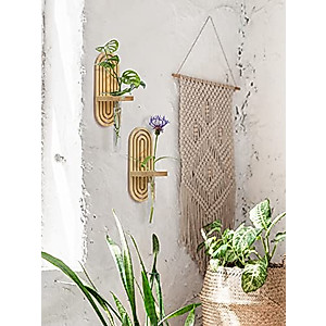 Biubee Plastic Wall Hanging Planter Tubes with Wooden Holders- 4 Set Separate Wall Mounted Propagation Plant Station Stable Hanging Test Tube Vase for Indoor Hydroponics Plants Home Office Decor