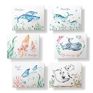Twigs Paper - Baby Shower Thank You Cards - Ocean Themed Assorted Thank You Card Set - 24 Blank Cards With Envelopes - Eco Friendly Stationery - (5.5 x 4.25 Inch) - Made In USA