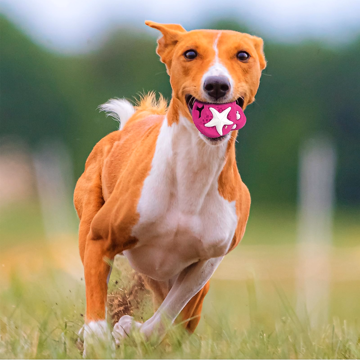 ROYAL PETS USA Indestructible, Durable & Tough Octopus Dog Chew Toy for Aggressive Chewers. Slow Treat Dispensing Interactive Toys for Small, Medium & Large Breed with 100% Natural Rubber & Flavor.