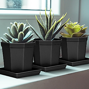 LWALRS Square Plant Saucer 6 8 10 12 14 16 18 20 Inch 5 Pack, Plastic Plant Saucers, Plant Water Dray Tray, Garden Planters for for Pots Base Indoors and Outdoors Plants（6 inch Black）