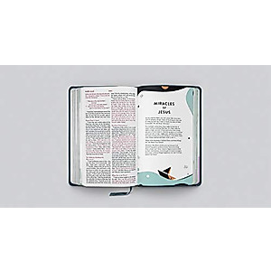 ESV Kid's Bible, Thinline (TruTone, Lion of Judah)