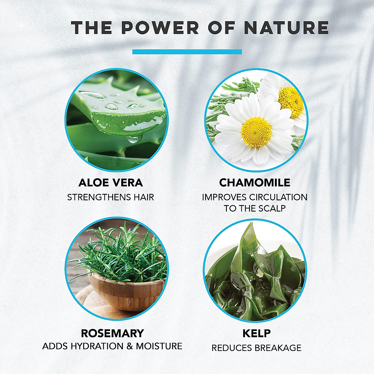 Brocato Splassh Daily Conditioner - 8.5 oz