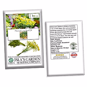 "Mammoth Long Island" Dill Seeds for Planting, 1500+ Seeds Per Packet, (Isla's Garden Seeds), Non GMO & Heirloom Seeds, Botanical Name: Anethum graveolens, Great Herb Garden Gift